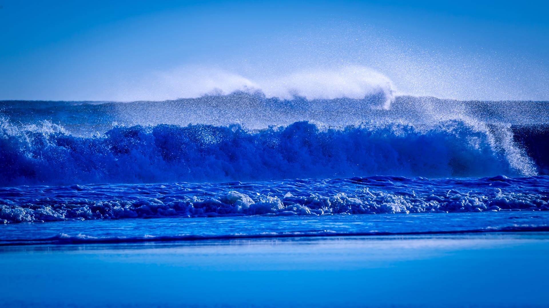 Member Artist David Schulz - Blue Morning Gallery