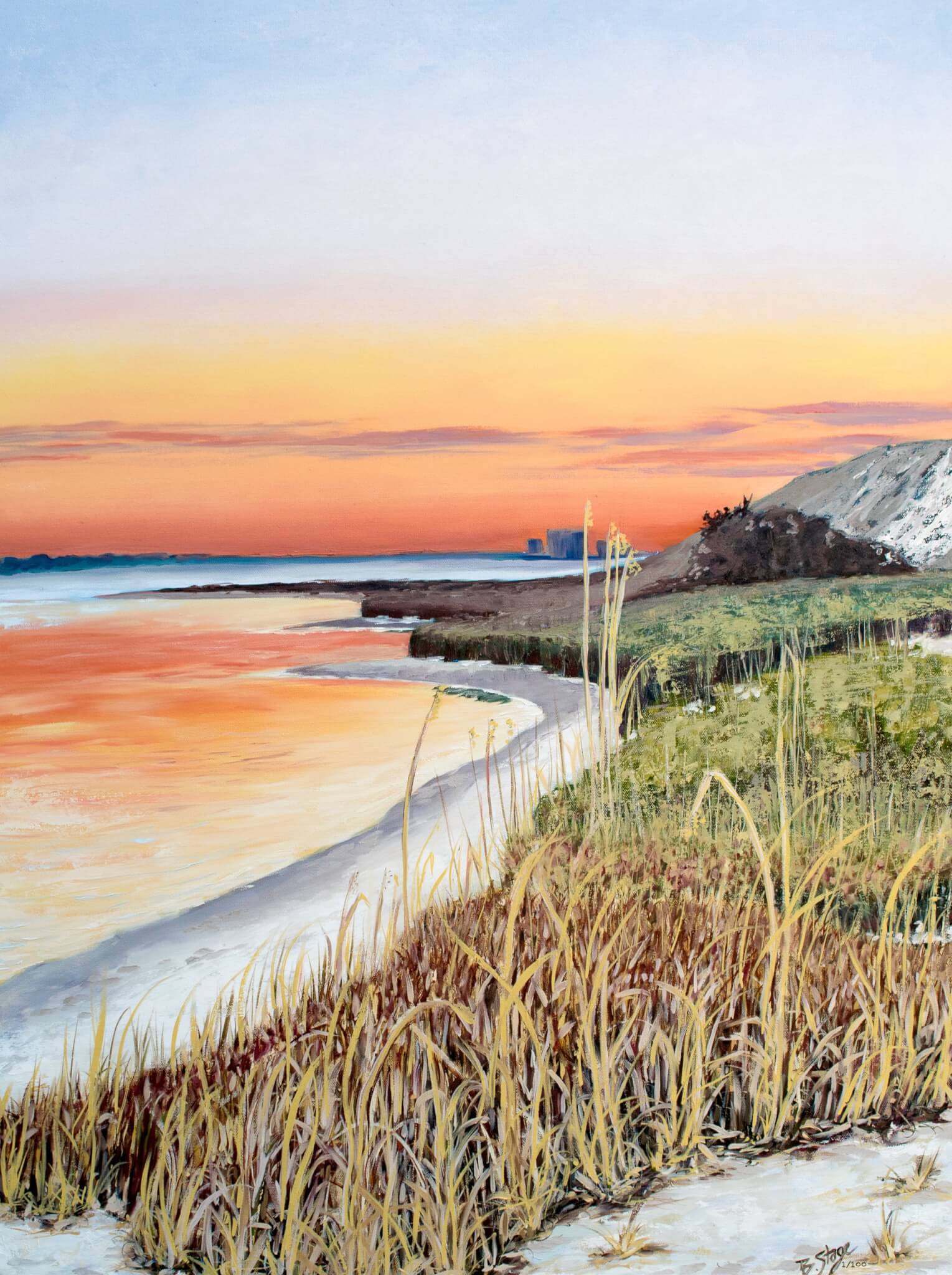 Member Artist Stage, Beth - Blue Morning Gallery